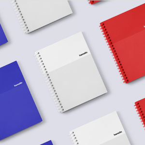 hamelin, notebooks worthy of your ideas | Our brands - Hamelin Group